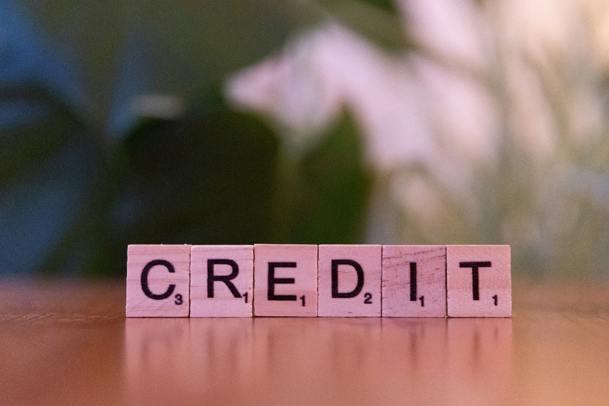 Understanding Credit Scores and Credit Reports - Vertex Partners